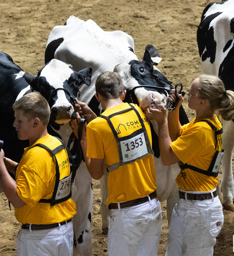 4-H and FFA Shows & Judging Contests – Animal Rights Coalition of ...